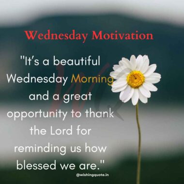 Top 50 Wednesday Morning Quotes In English - WishingQuote